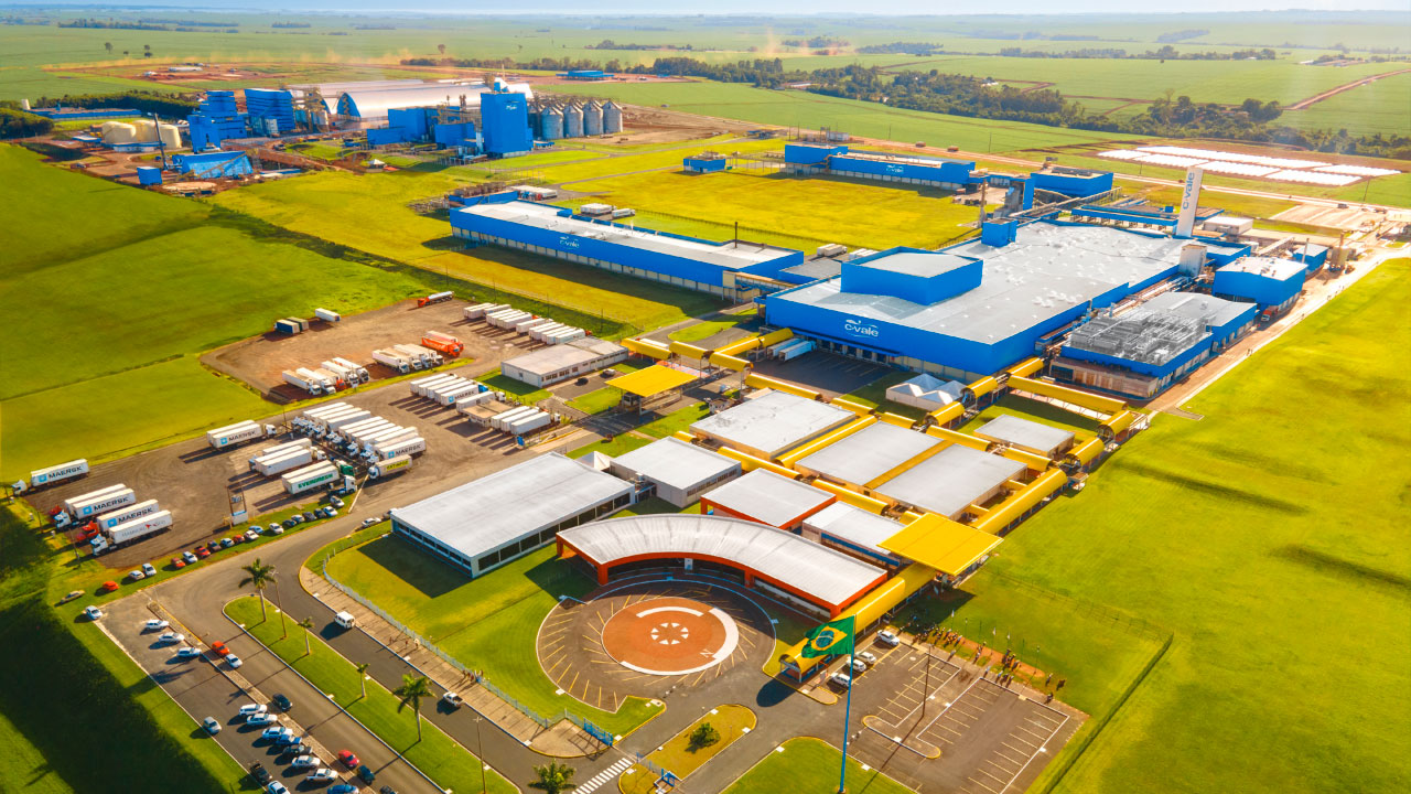 Sobre a CVale - Nossa História e Missão